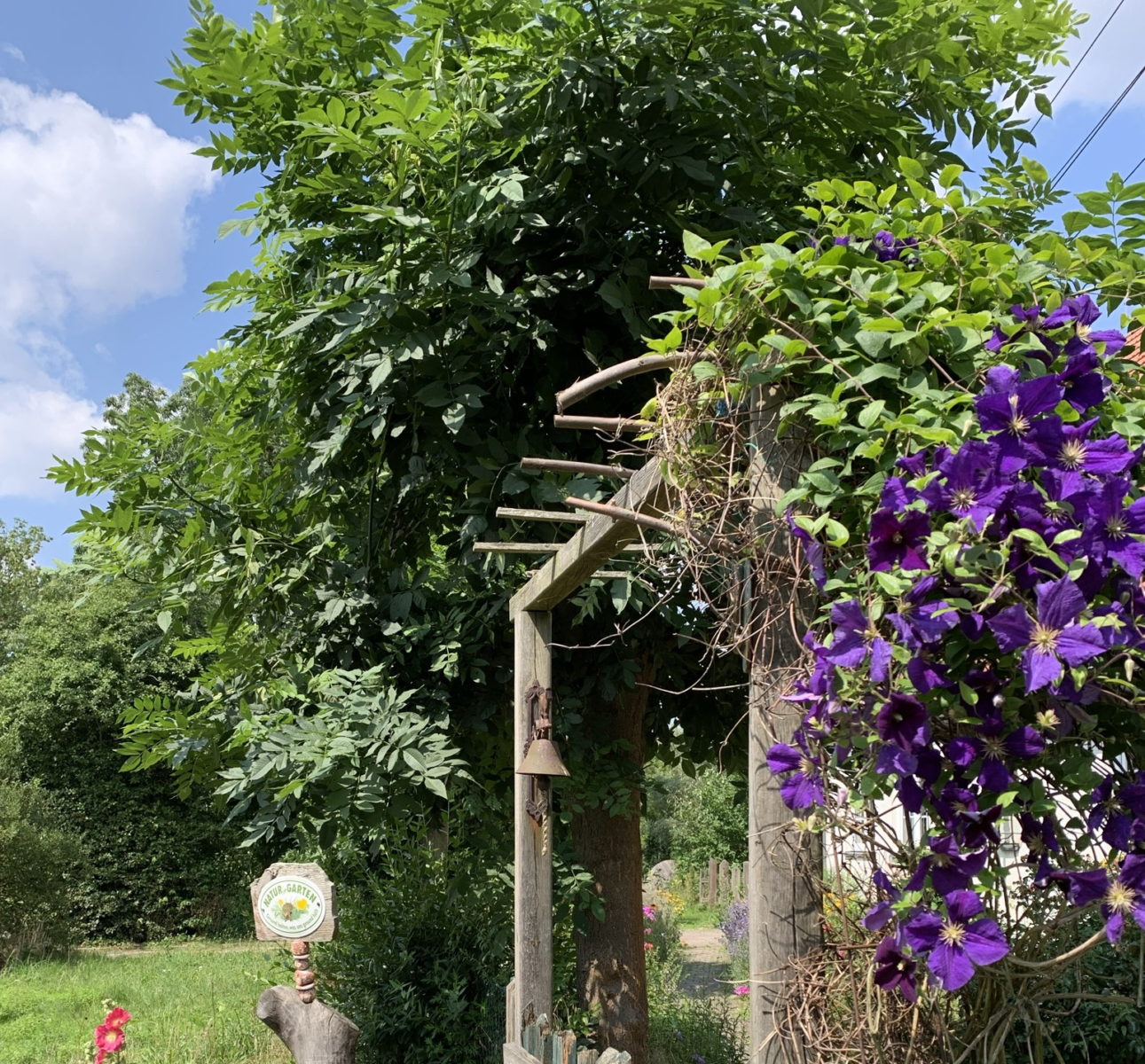 Amt Stargarder Land – Dagmar Kaselitz